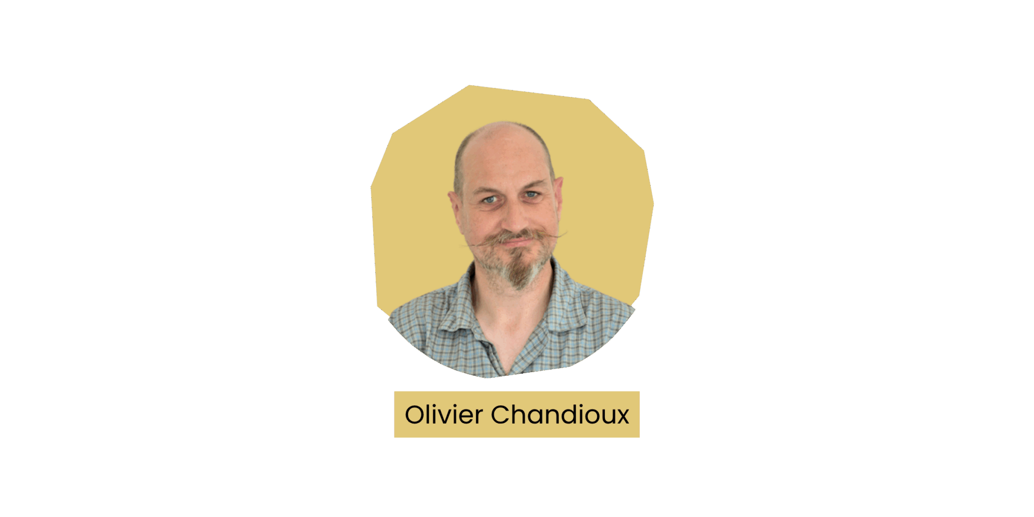 #17 - Forêt et élevage : pour une production qui protège ? - Cambium